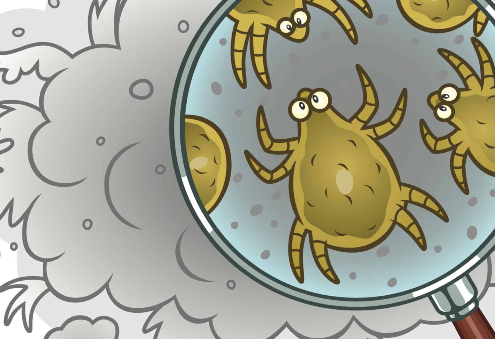 4 oplossingen tegen huisstofmijt(allergie)