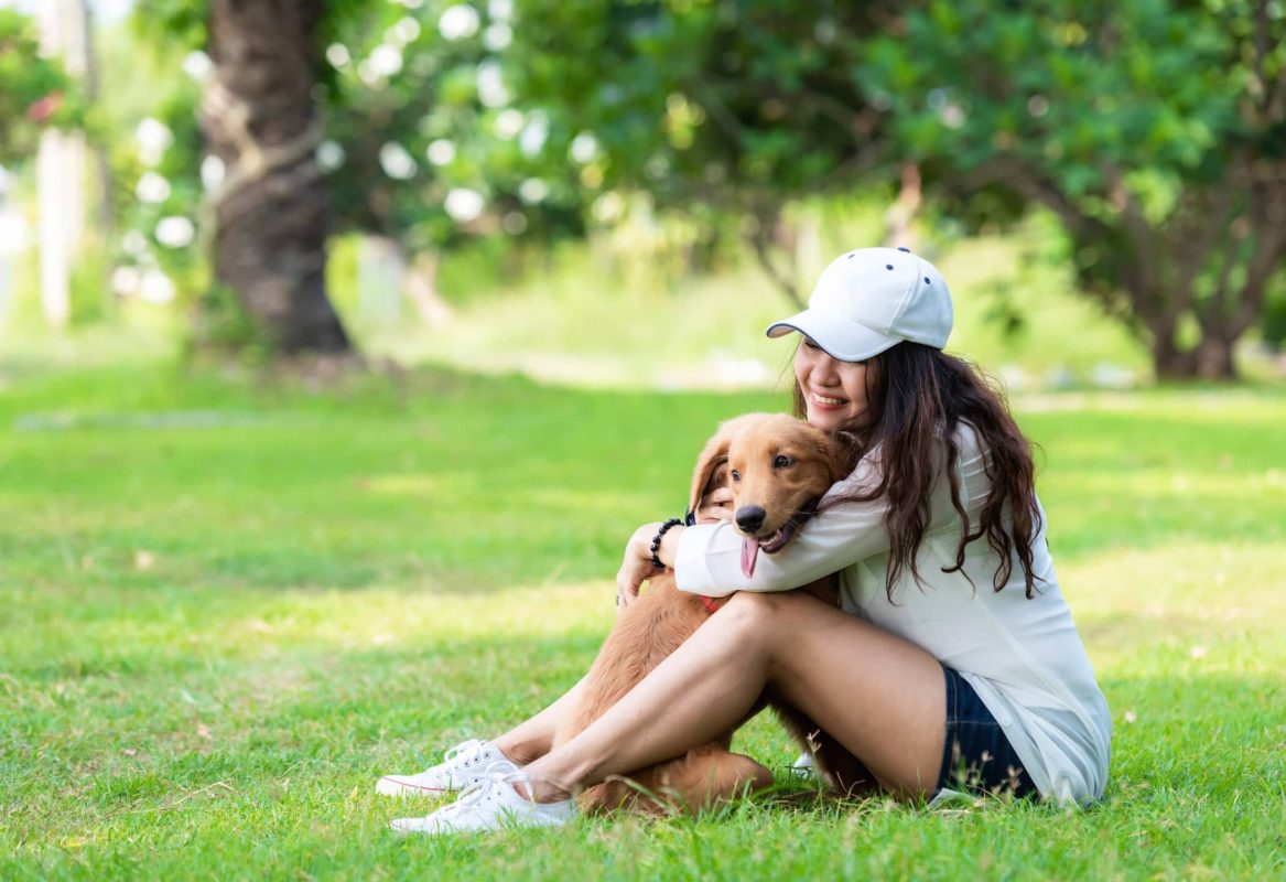 3x waarom jouw hond tegen je benen leunt - Santé